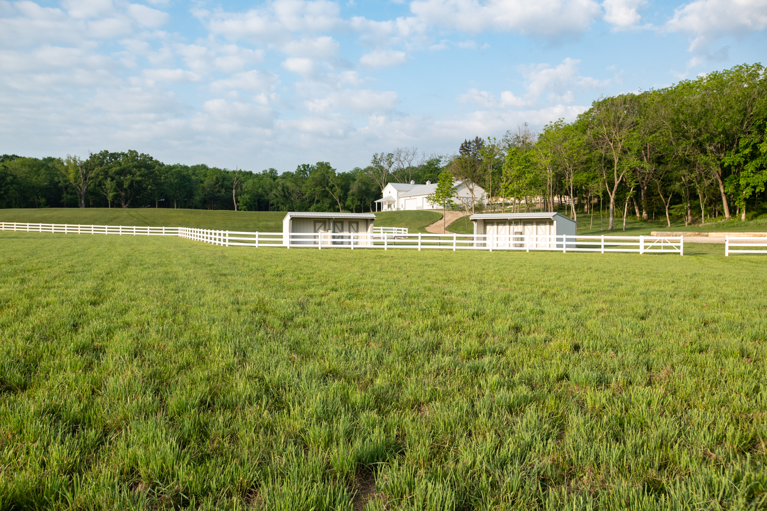 Hidden Timber Farm Horse Pasture Boarding