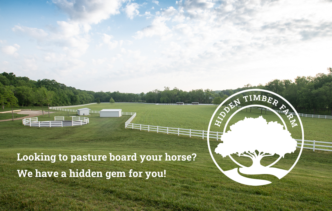 Hidden Timber Farm Horse Pasture Boarding